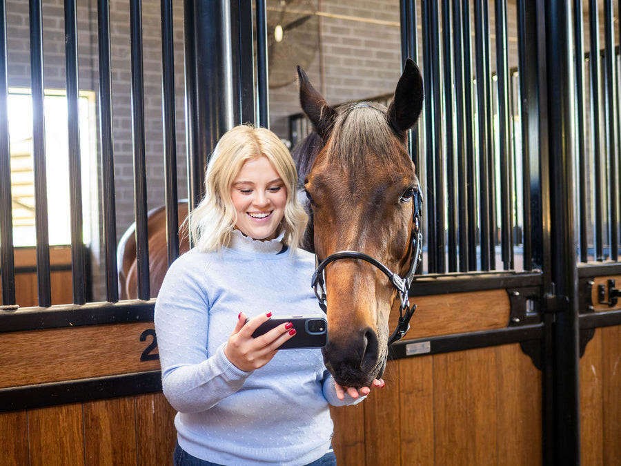 Horse Cameras | Paddock, stable & trailer cameras – Equine Eye